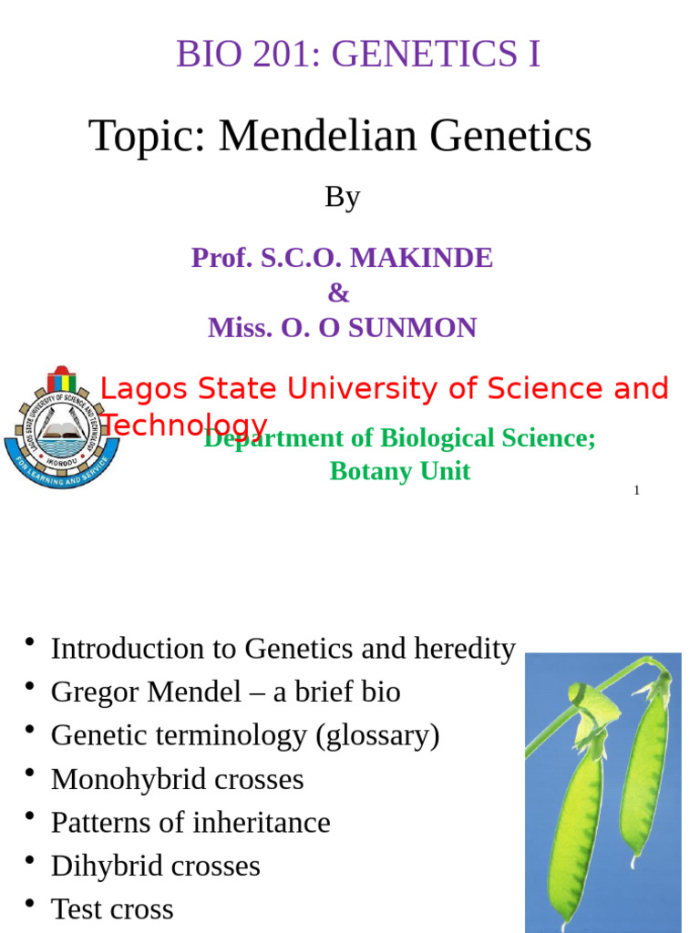 Mendelian Genetics Overview and Concepts | PDF | Dominance (Genetics ...
