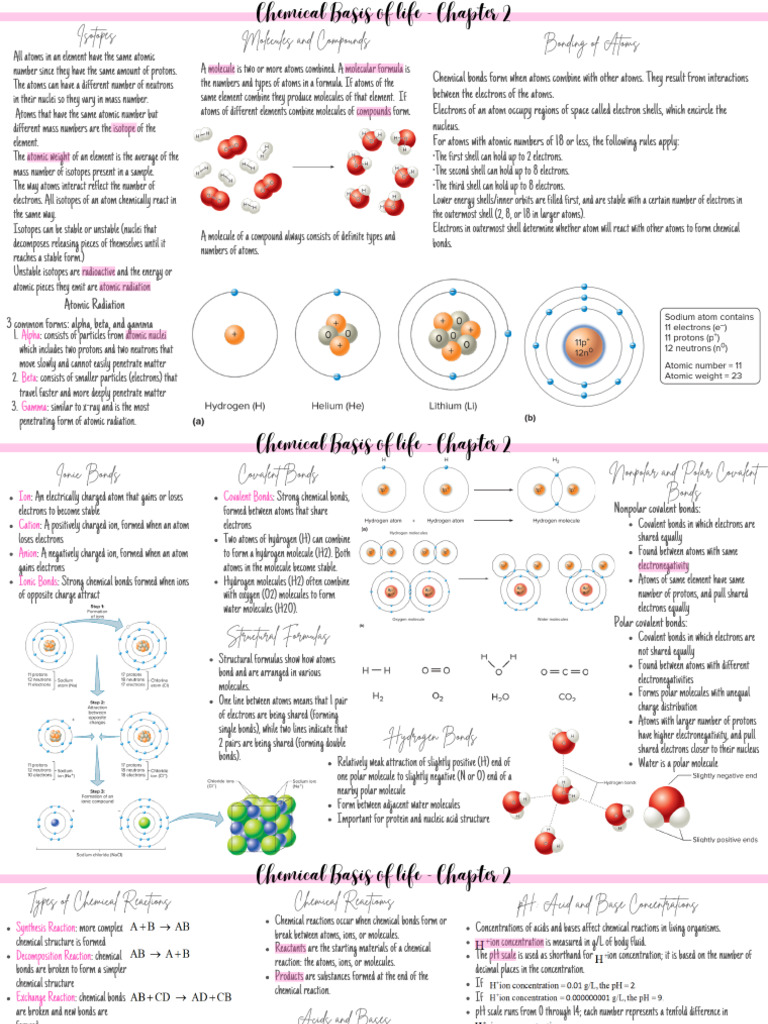 Intro to Human Anatomy and Physiology - Chapter 2 | PDF | Atoms ...