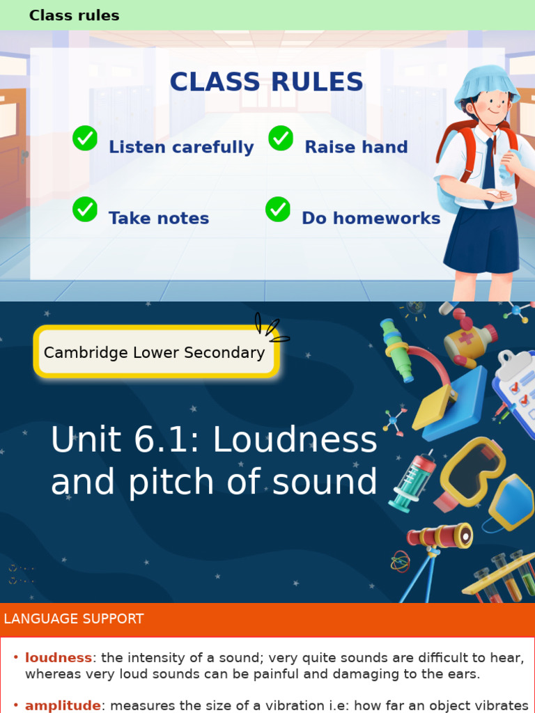 Cambridge Lower Secondary Sound Concepts | PDF