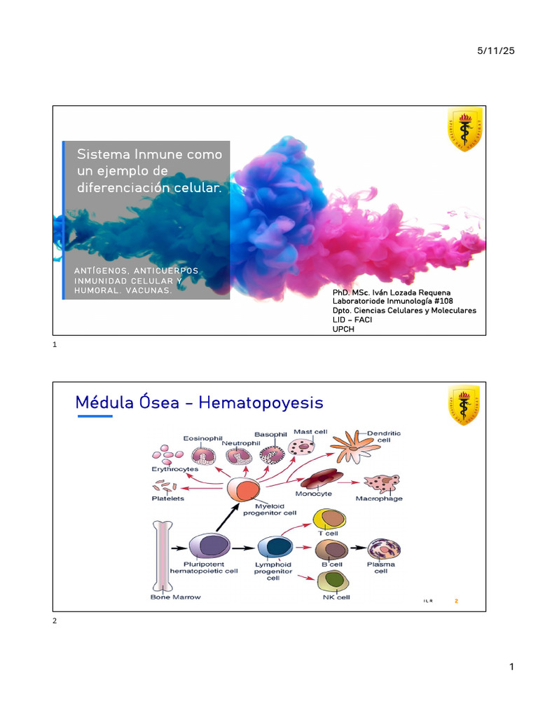 Sistema Inmune - Dr Lozada 2025-II | PDF | Sistema inmune | Anticuerpo