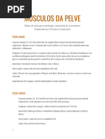 Anatomia da Região Glútea e Nervos | PDF | Pélvis | Nervo
