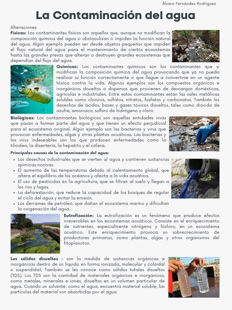 Copia de Copia de Copia de Gray White Modern Executive Summary A4 ...