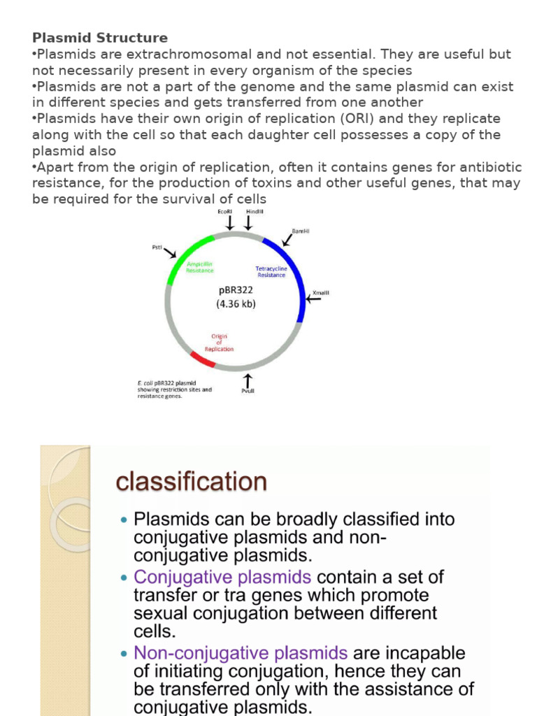 Understanding Plasmids and Vectors | PDF | Vector (Molecular Biology ...