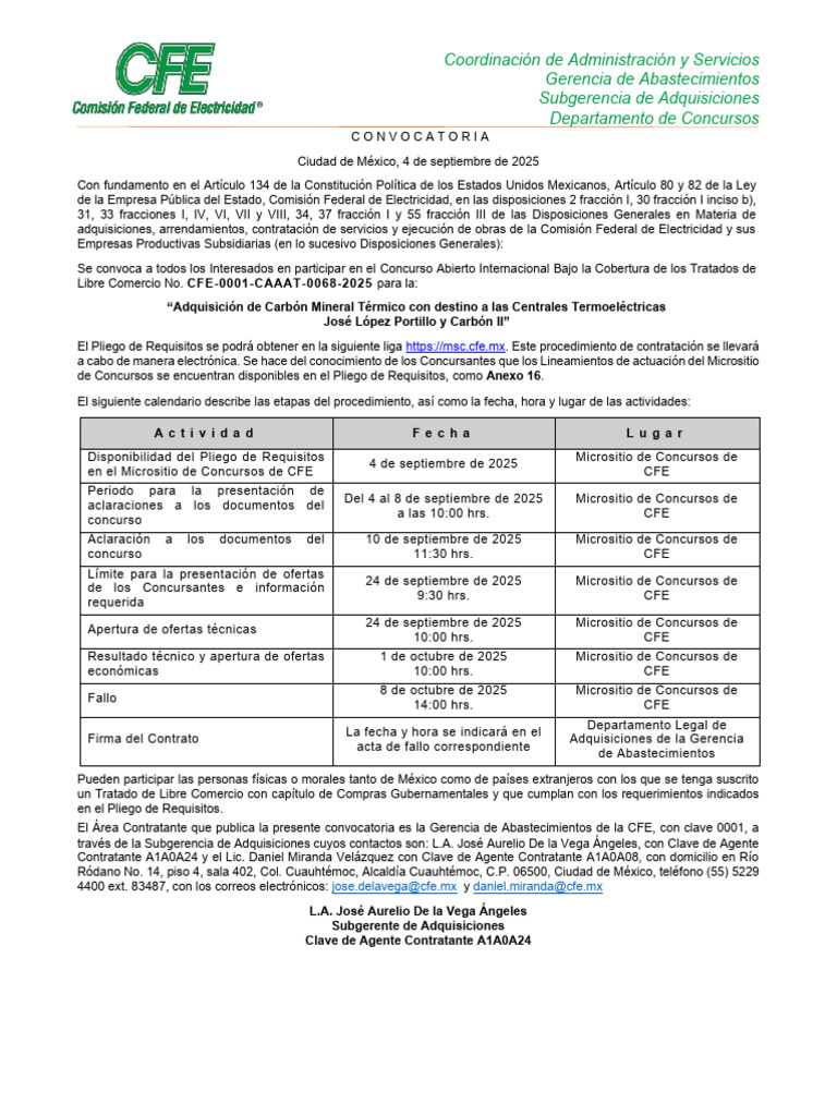 Pliego de Requisitos CARBÓN_VF | PDF | Business