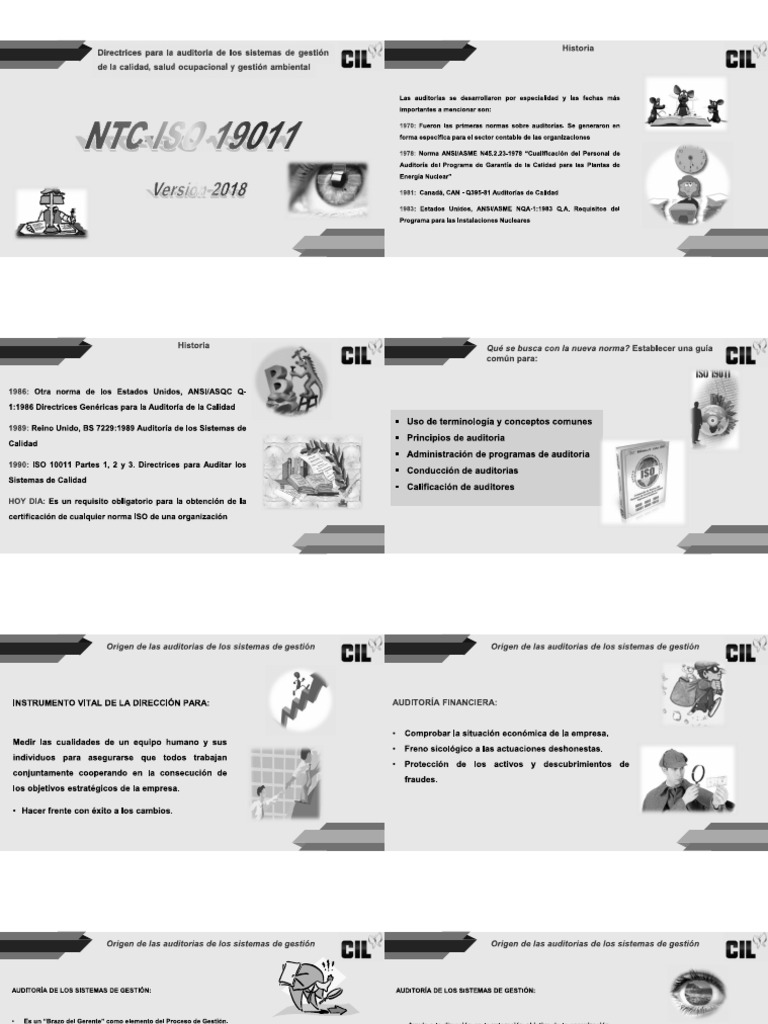 Norma ISO 19011 Version 2018 | PDF