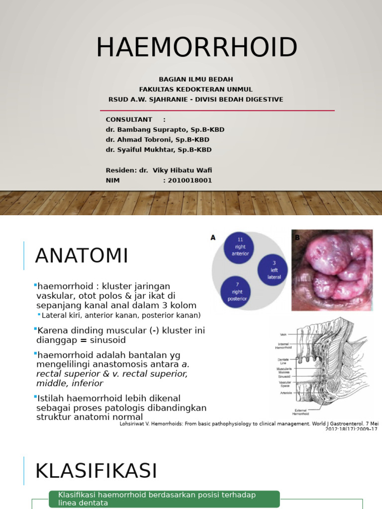 Haemorrhoid VIK | PDF