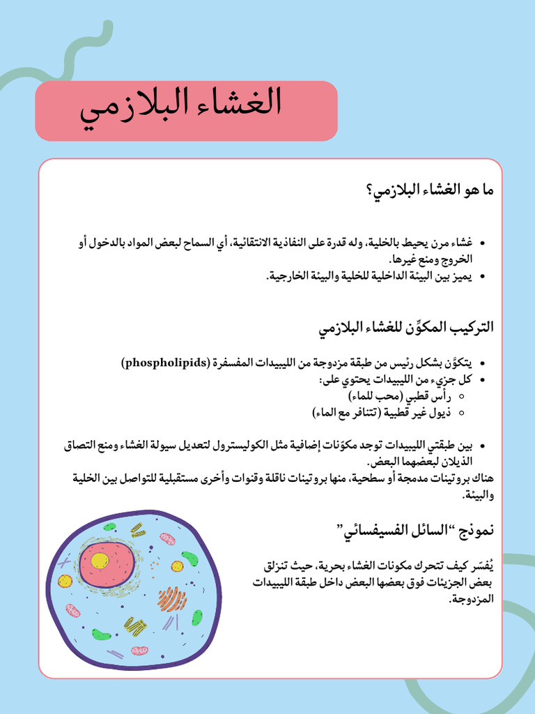 Animal Cell Organelles Worksheet in Colorful Illustrative Style PDF | PDF