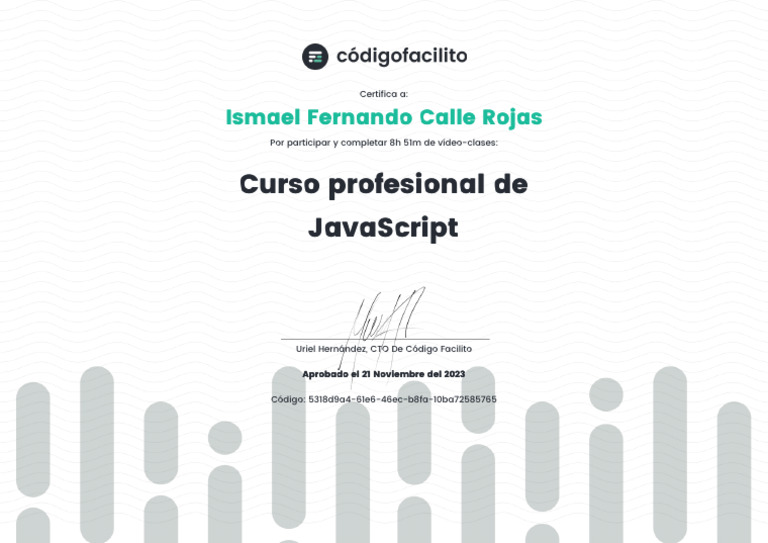 Certificado - Curso Profesional de JavaScript | PDF