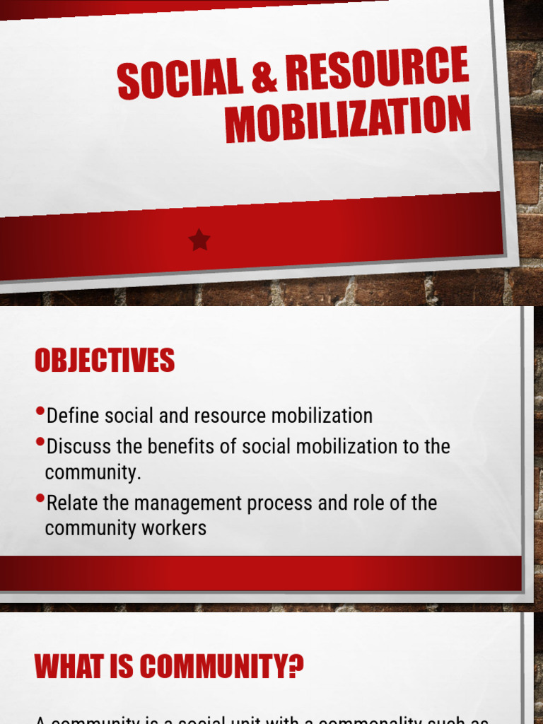 Social Mobilization | PDF | Community | Economics