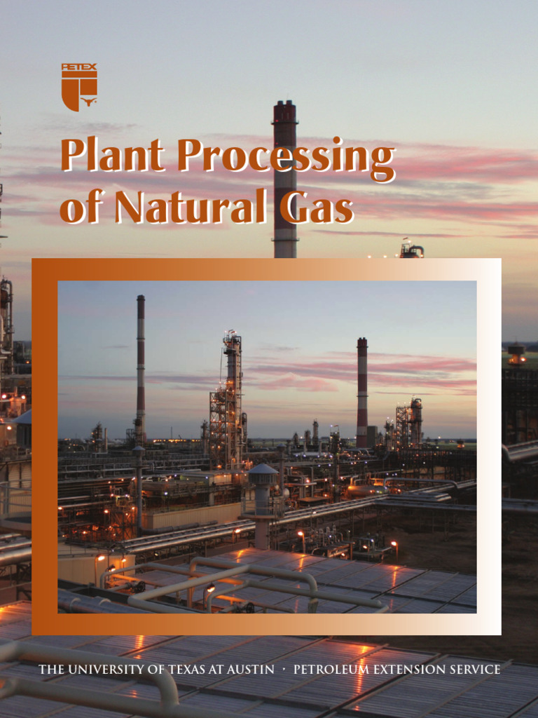 Plant Processing of Natural Gas Previewwtrmrk | PDF | Natural Gas ...