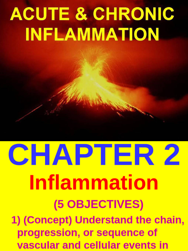 Ch2-Inflam | PDF | Inflammation | Granulocyte