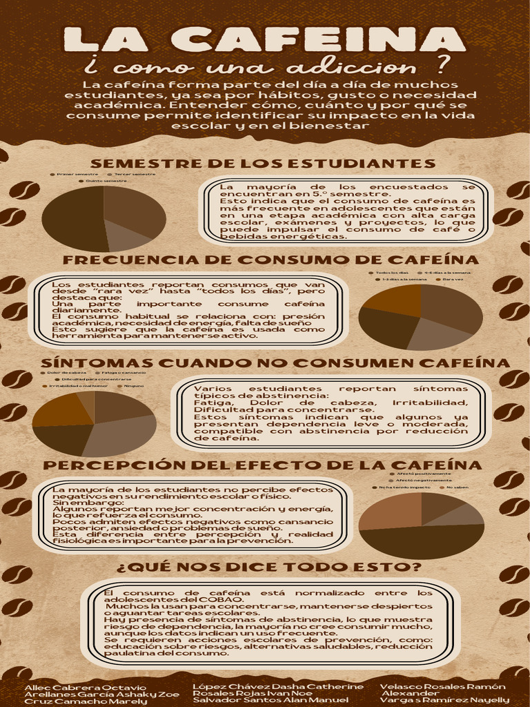 Infografia Pensamiento Variacional 20251211 102955 0000 | PDF ...