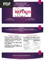 Clasificación de Reflejos Osteotendinosos | PDF | Neurona motora ...