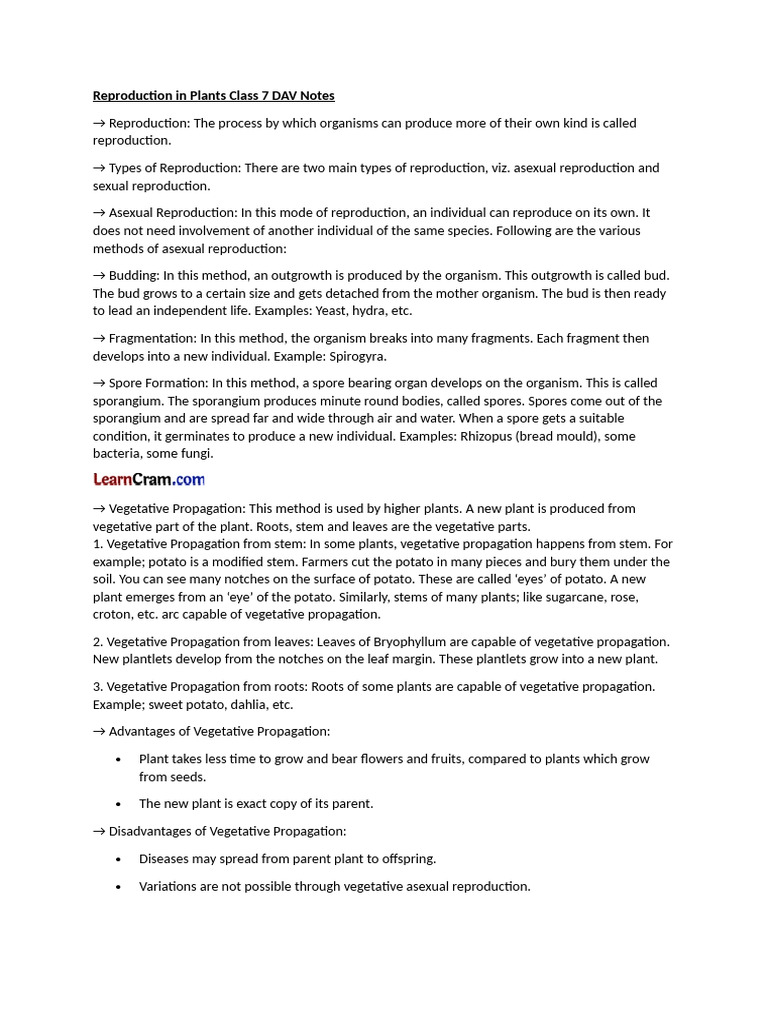 Plant Reproduction: A Guide for Class 7 | PDF | Flowers | Pollination