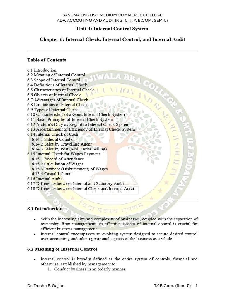 Internal Control Systems in Accounting | PDF | Audit | Receipt