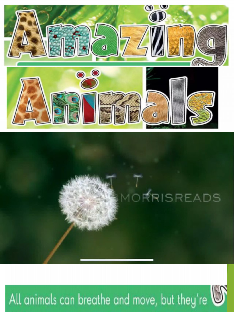 Our Amazing Animals Grade 2 | PDF