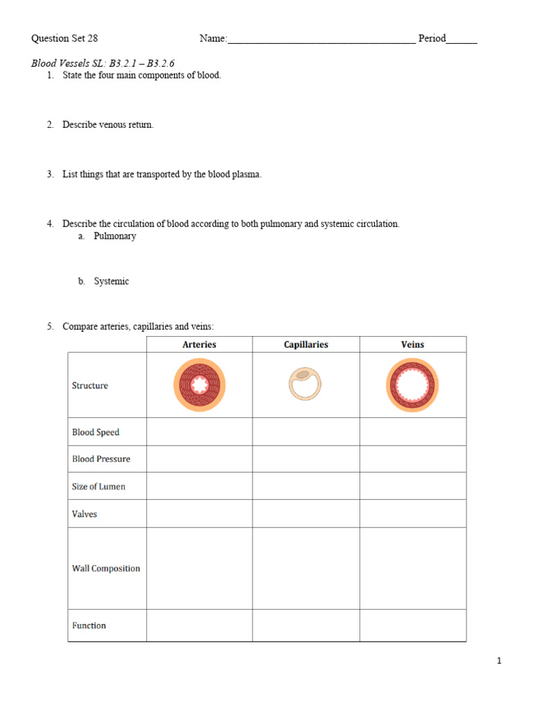 Blood Vessel Structure and Function Quiz | PDF