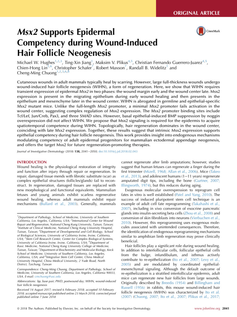 Msx2 Supports Epidermal Competency During Wound-Induced Hair Follicle ...