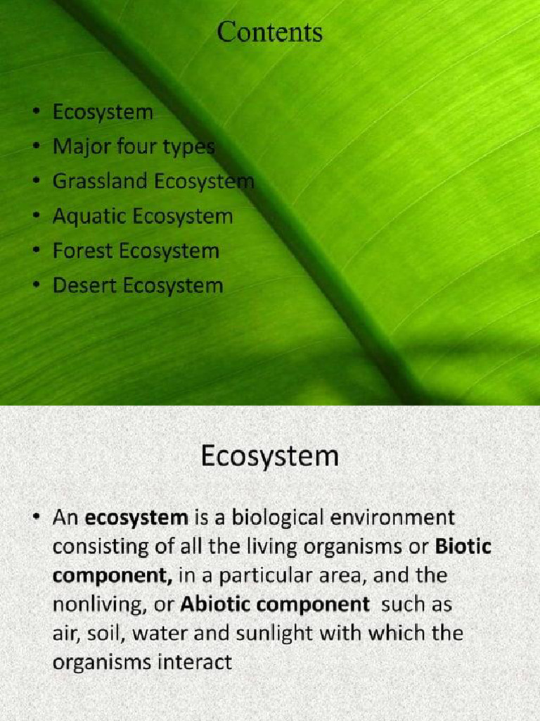 Ecosystem | PDF