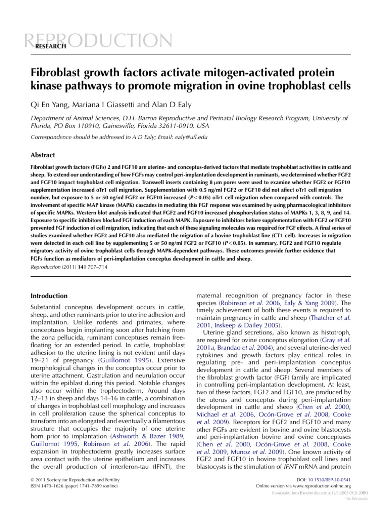 Fibroblast Growth Factors Activate Mitogen-Activated Protein Kinase ...