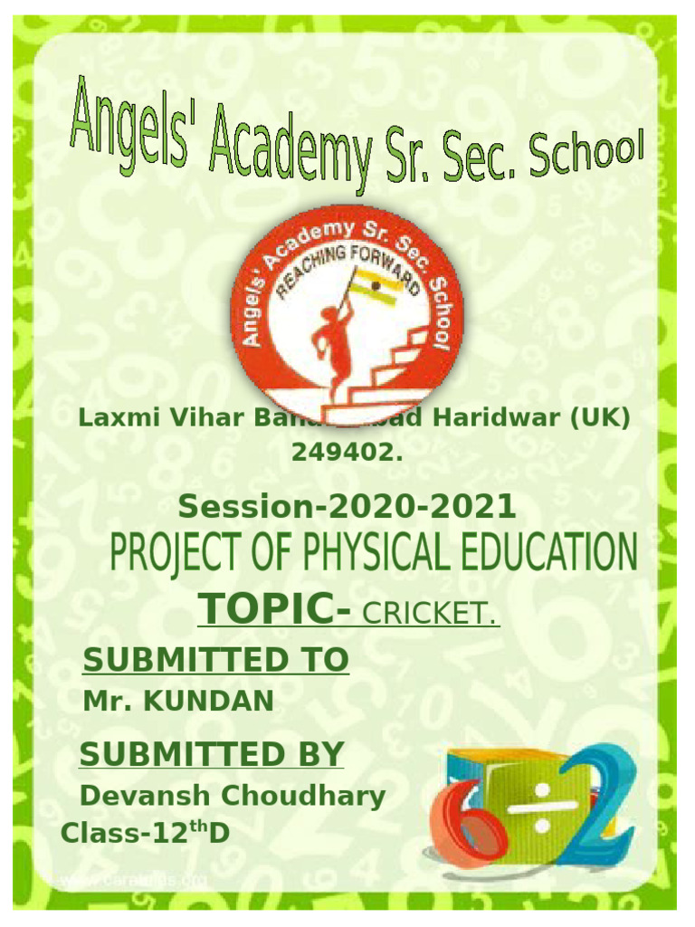 Cricket Project by Devansh Choudhary | PDF