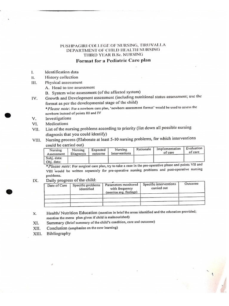 Assessment - Child Health Care Plan | PDF