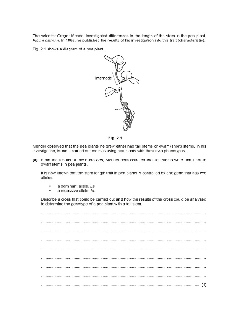 Inheritance Test 1 | PDF
