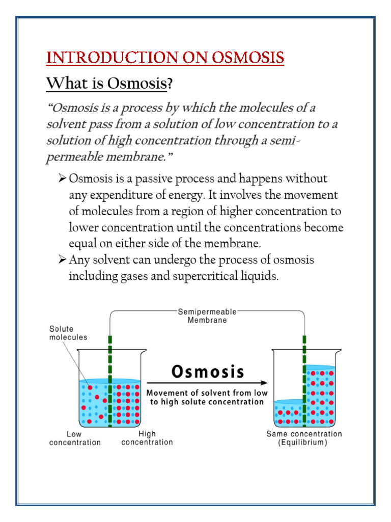 Understanding Osmosis and Its Types | PDF | Osmosis | Desalination