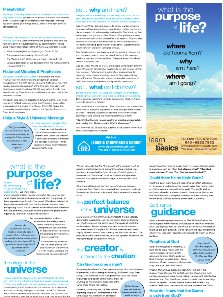 08 Purpose of Life | PDF
