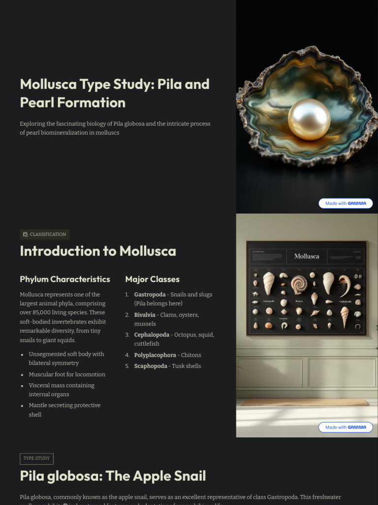 Pila Globosa and Pearl Formation Study | PDF | Mollusca | Pearl