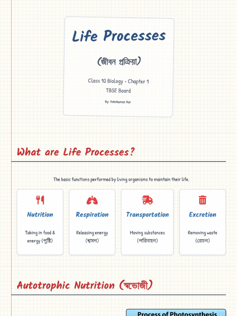 Class 10 Biology - Life Processes | PDF