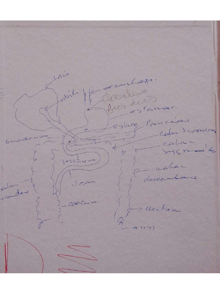 ACE Scanner_2025_12_27 | PDF