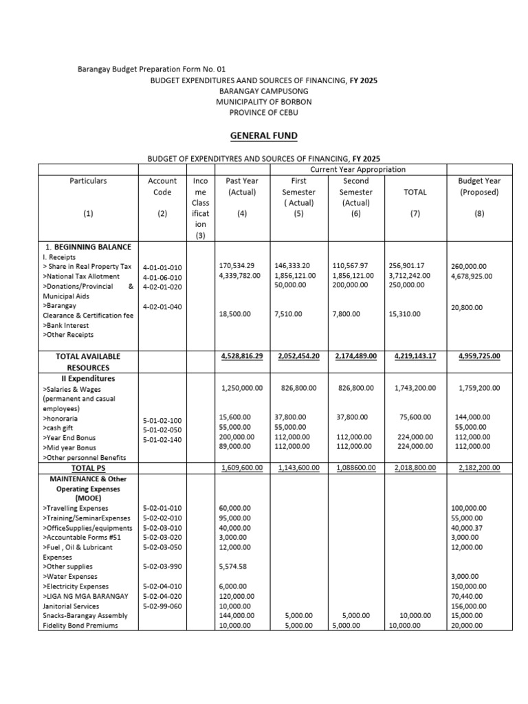 02 - Barangay Budget Preparation Form 1 - 2025 | PDF | Budget | Expense