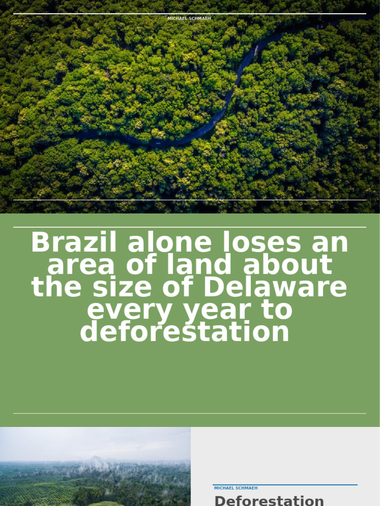 Deforestation in Brazil | PDF | Deforestation | Amazon Rainforest