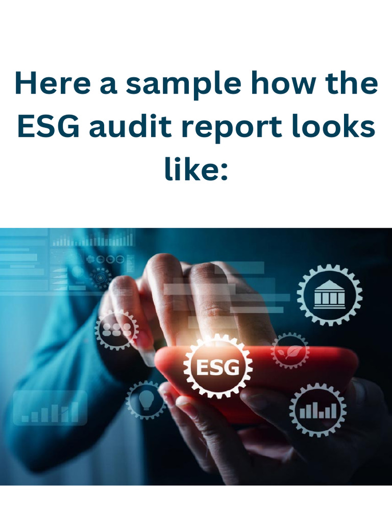 Esg Audit Reporting | PDF | Governance | Audit
