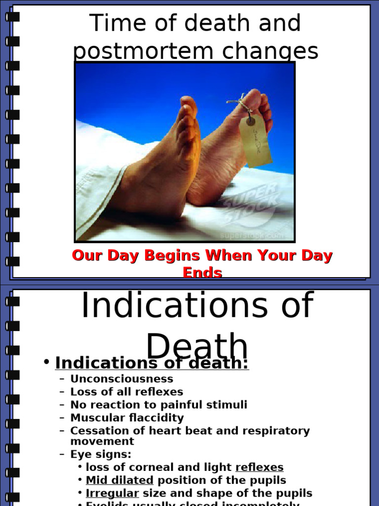 Forensic Pathology: Time of Death Indicators | PDF | Decomposition