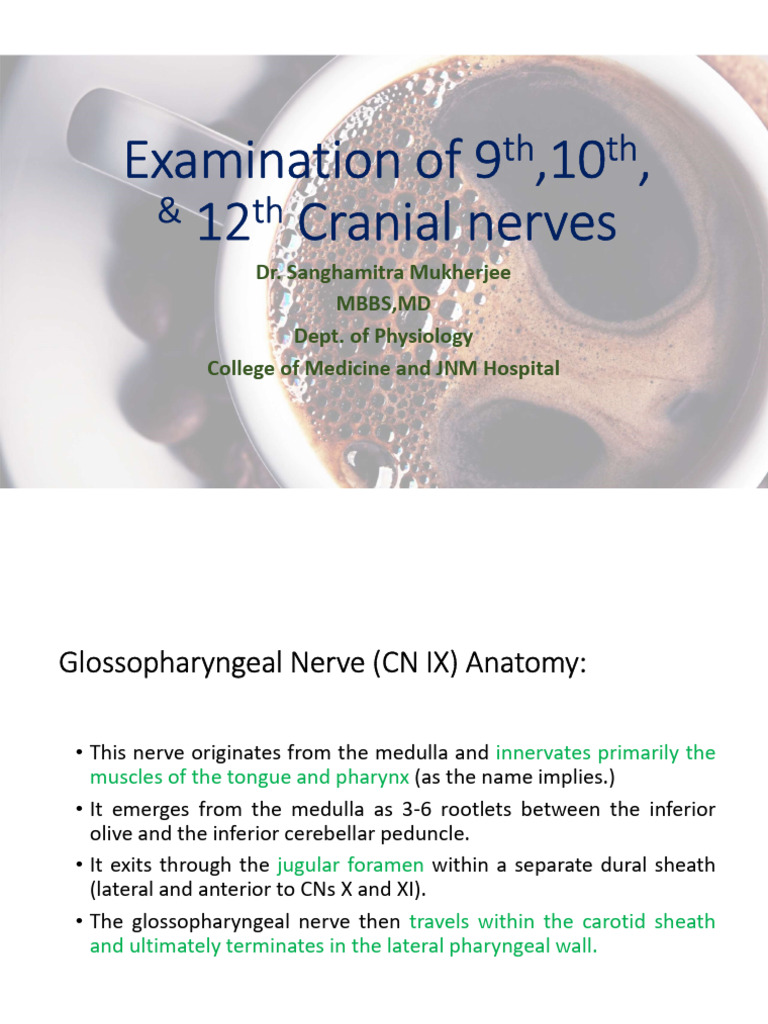 Examination of Cranial Nerves - 9th, 10th & 12th | PDF | Vagus Nerve ...
