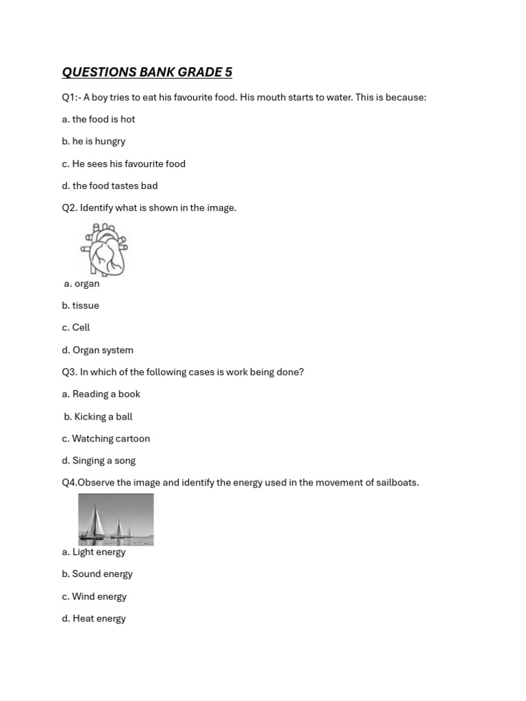 Grade 5 Science Questions Bank | PDF | Urine