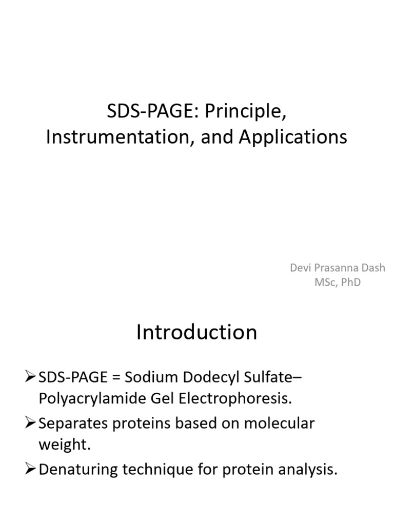 Sds Page and Native Page Presentation UG Kids | PDF | Polyacrylamide ...