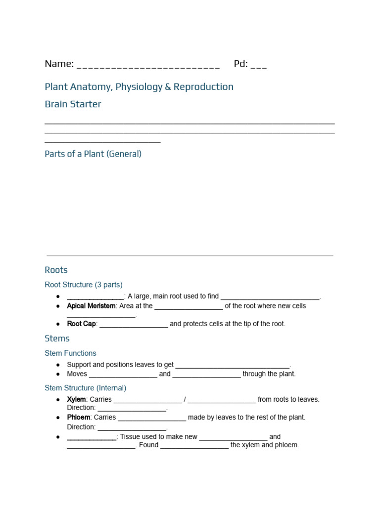 Plant Anatomy Note Sheet | PDF | Flowers | Leaf