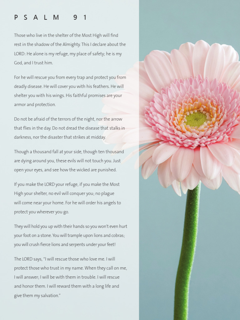 Psalm 91 | PDF