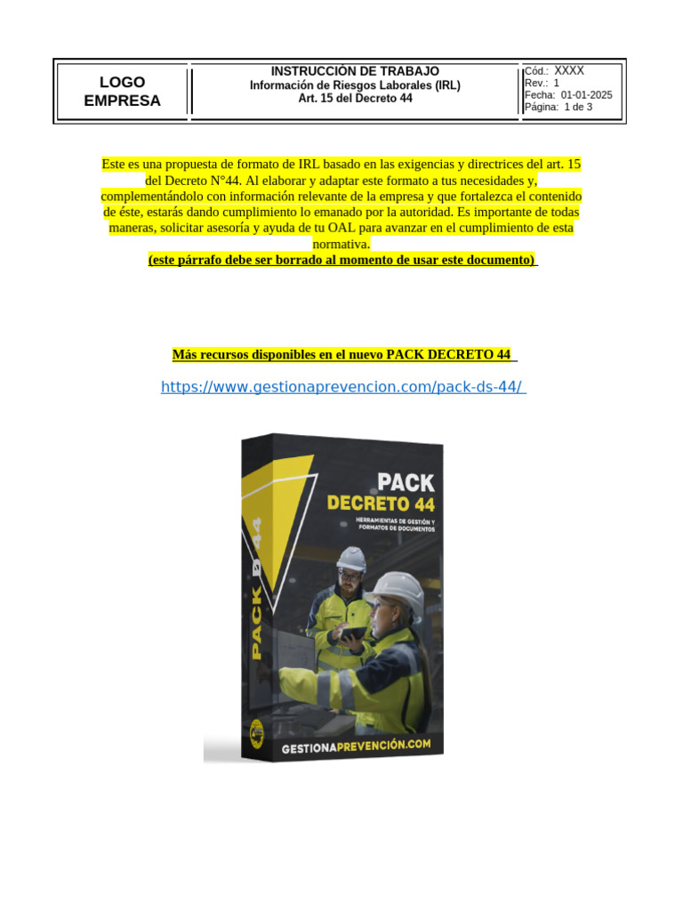 1. Formato Irl (Ex Odi) | PDF