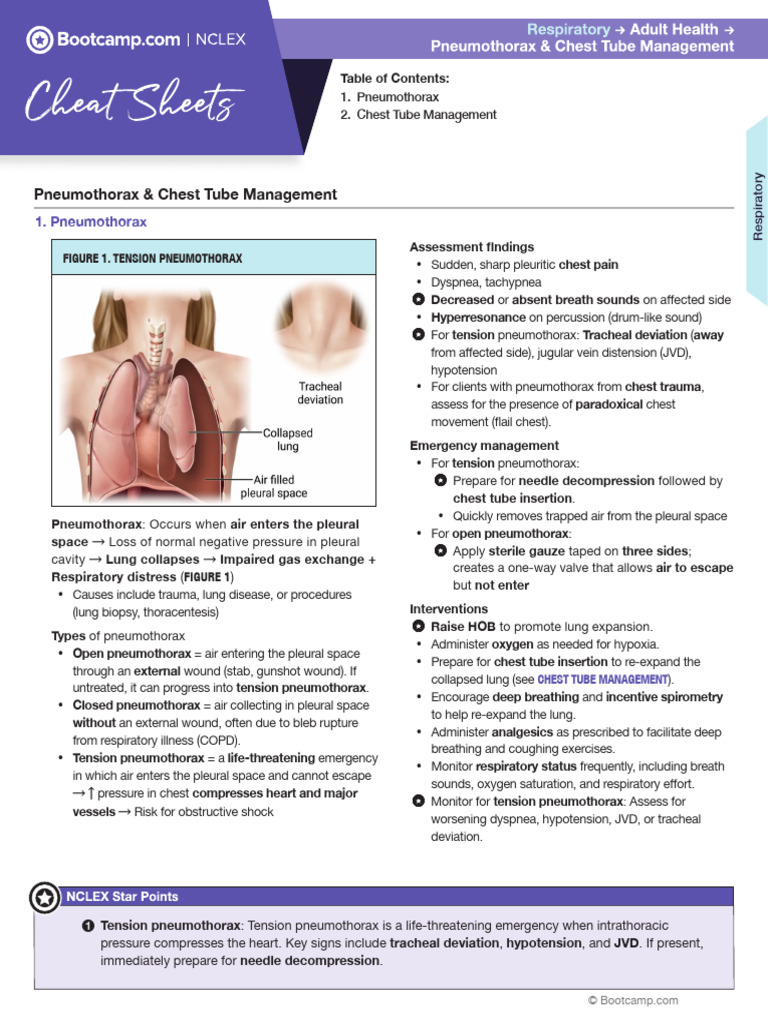 Pneumothorax and Chest Tube Management | PDF | Medical Emergencies ...