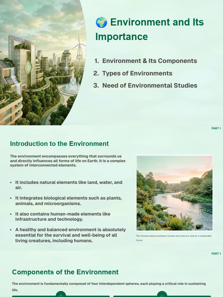 Understanding Environmental Importance | PDF | Natural Environment ...