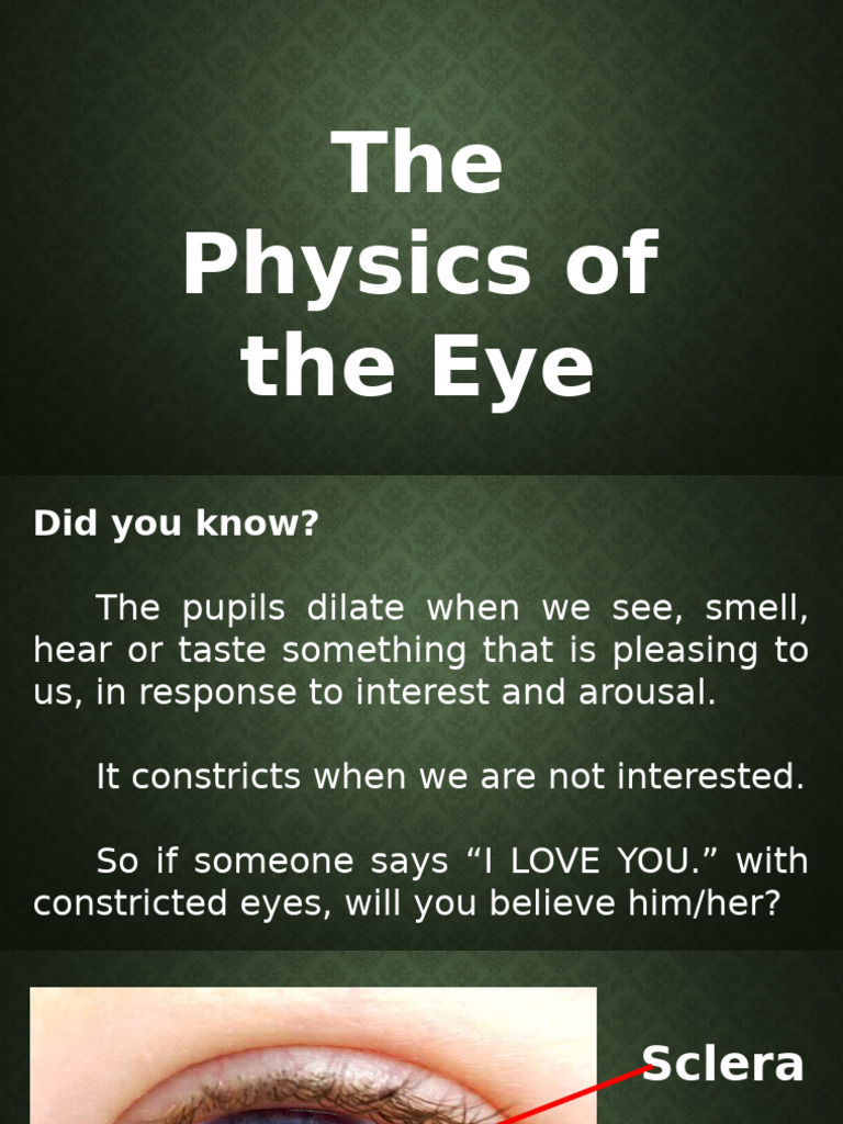 Understanding Eye Anatomy and Vision | PDF | Eye | Visual Acuity