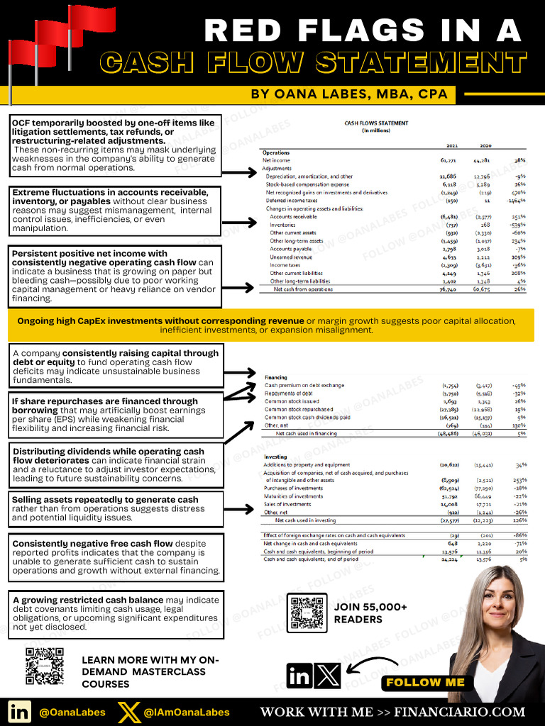Red Flags in a Cash Flow Statement - Oana Labes, MBA, CPA | PDF ...