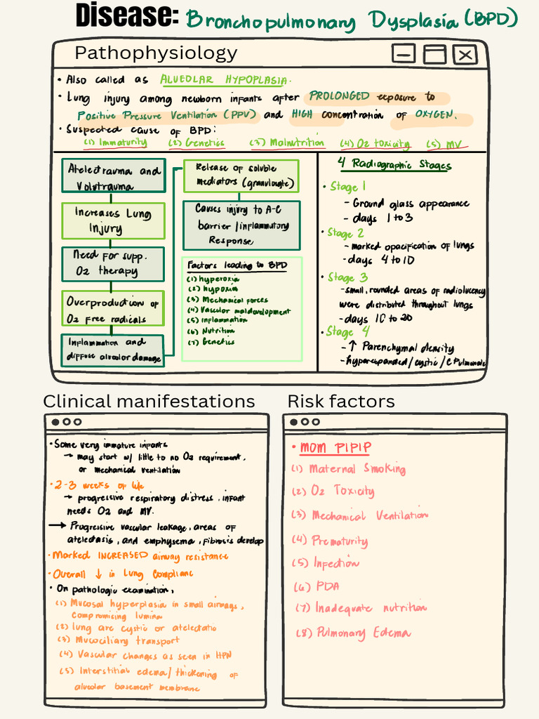 BPD-NOTES | PDF | Respiratory Diseases | Lung