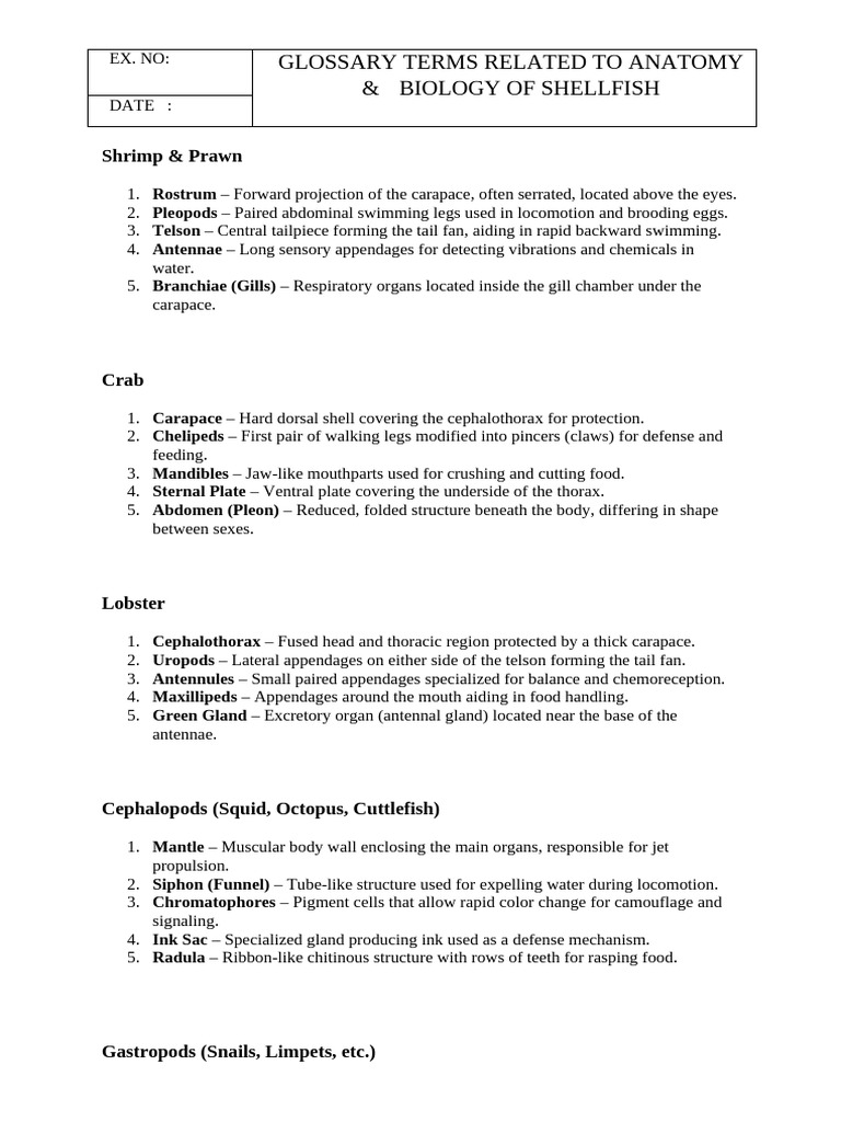 Anatomy Glossary for Shellfish | PDF