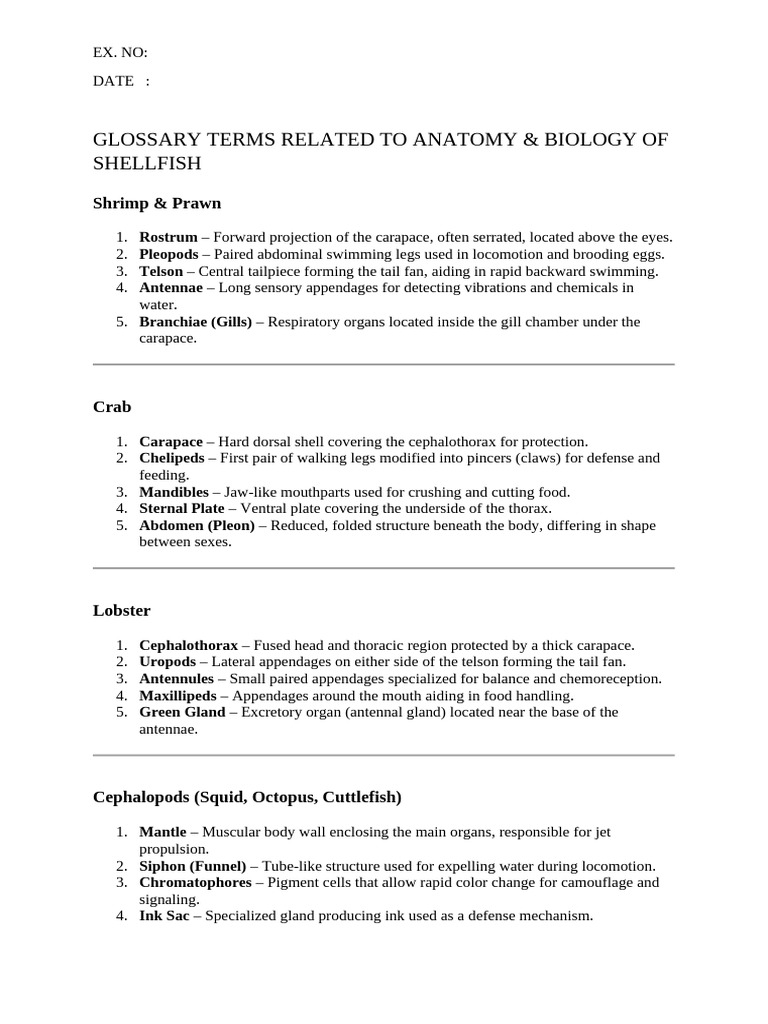 Anatomy & Biology Terms of Shellfish | PDF