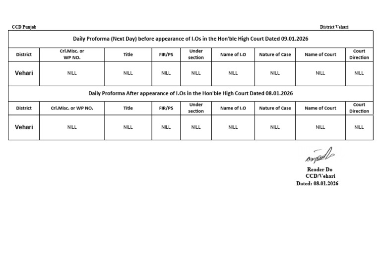 Daily Court Proforma for Vehari Cases | PDF